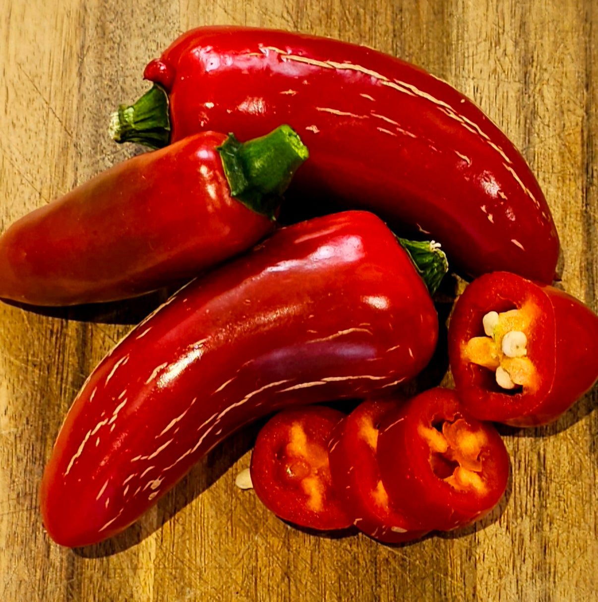 Jalapeño - Heirloom Chilli – Seed Savers